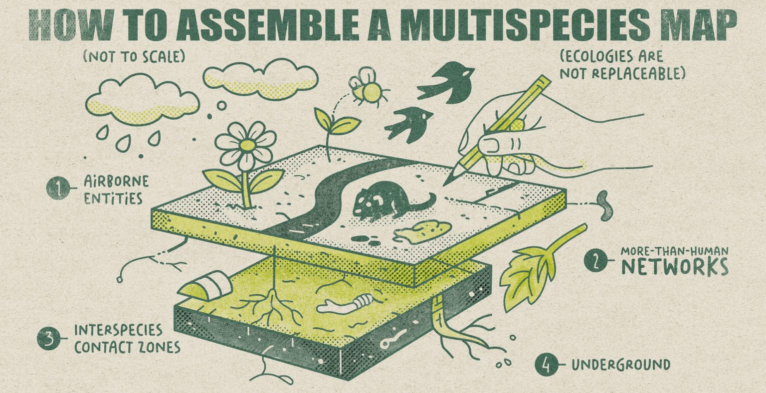 Multispecies Mapping - Santiago Orrego